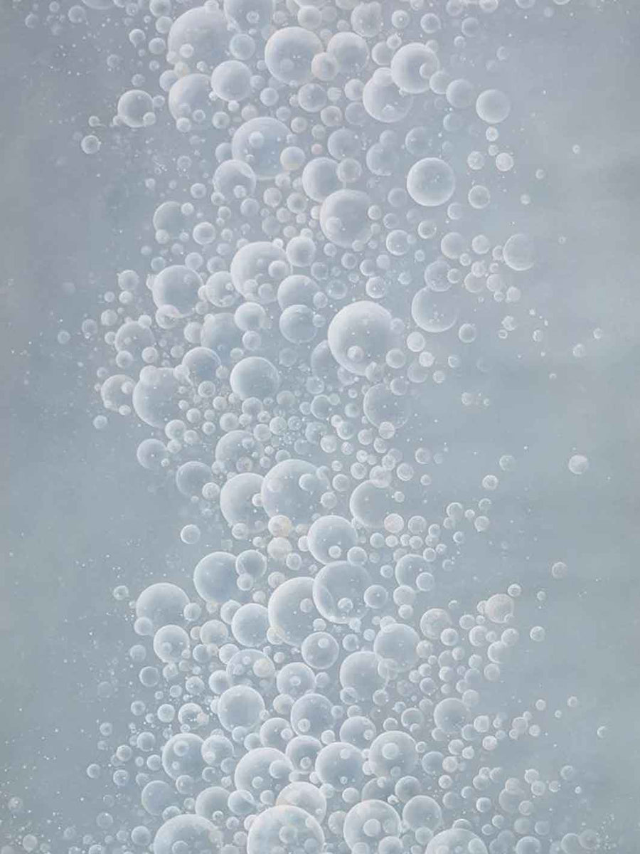 Products – Aqualille